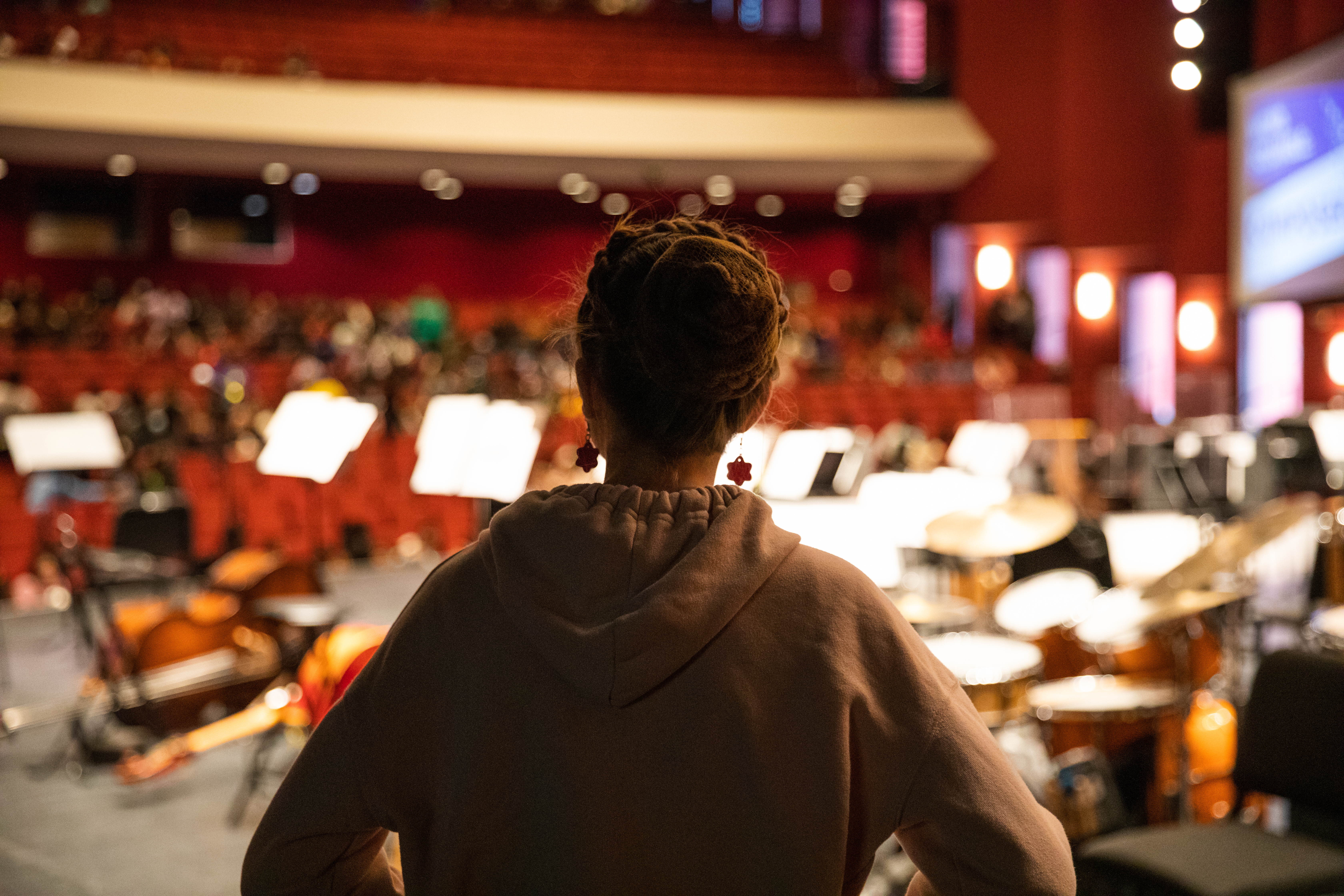 Adopt-a-Musician - South Carolina Philharmonic